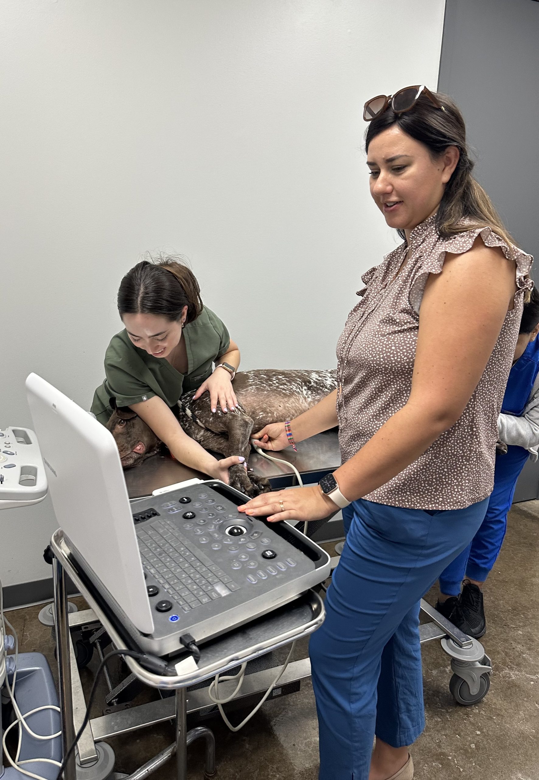 Mobile Ultrasound – VitalRADS