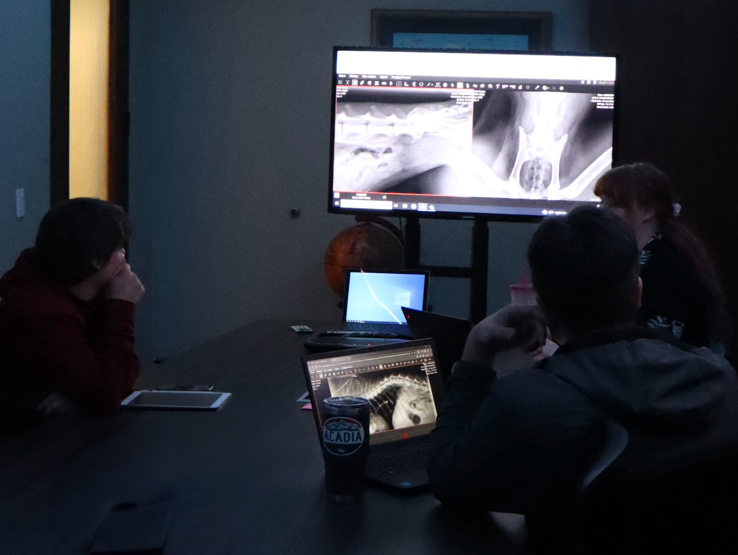 ACVR Residency Program – VitalRADS